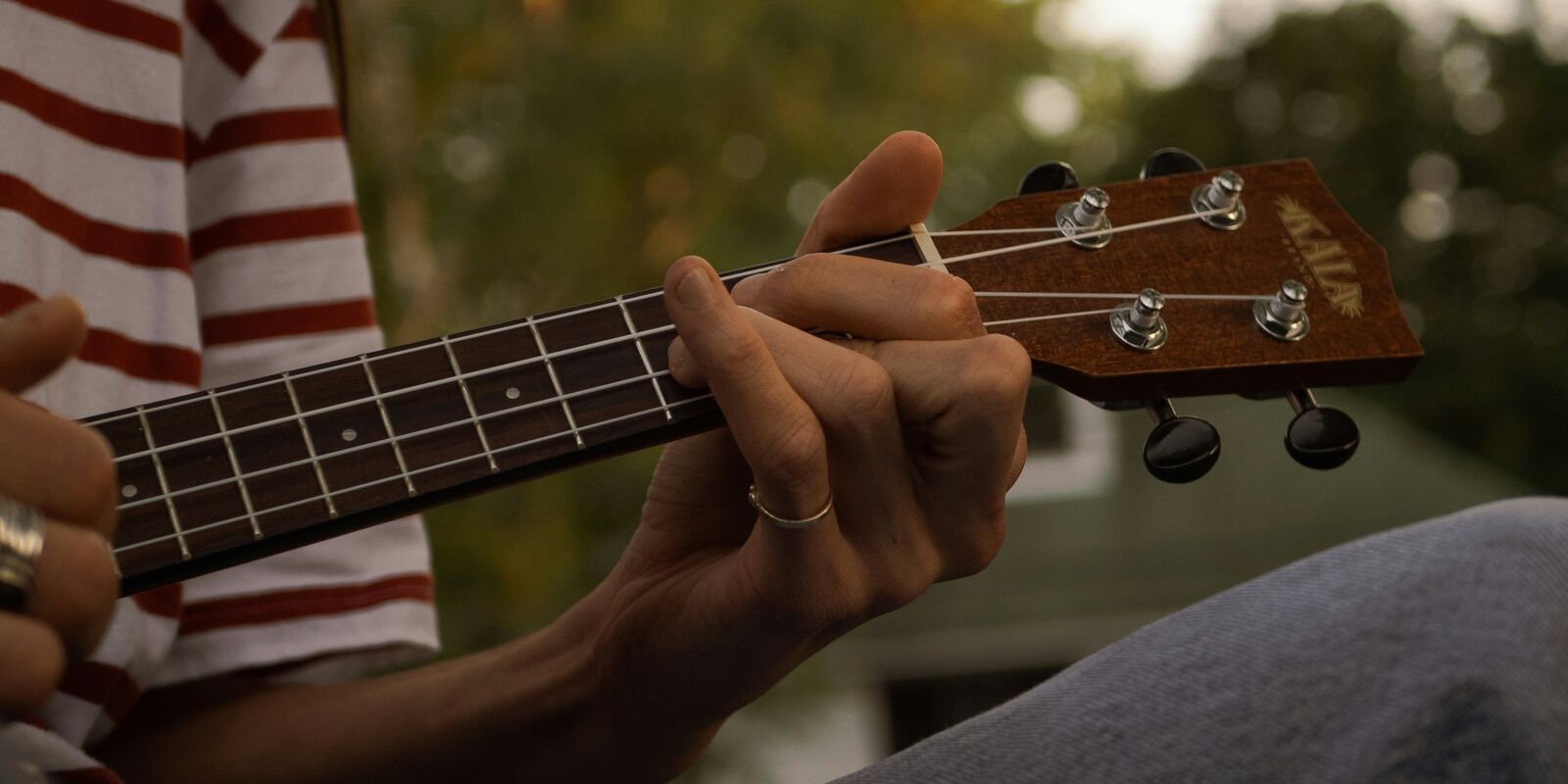 Swing Ukulele Styles Workshop - with Pete Arnold - The Corn Hall